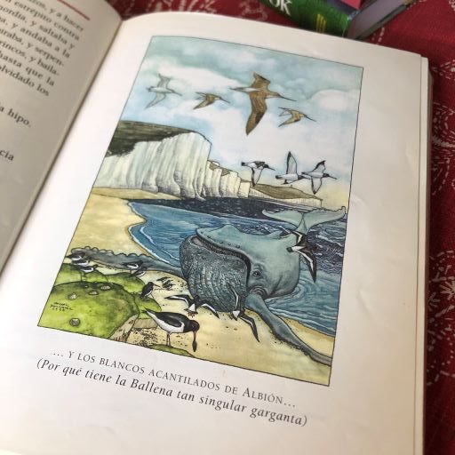 Angel Dominguez - WaterBearReads