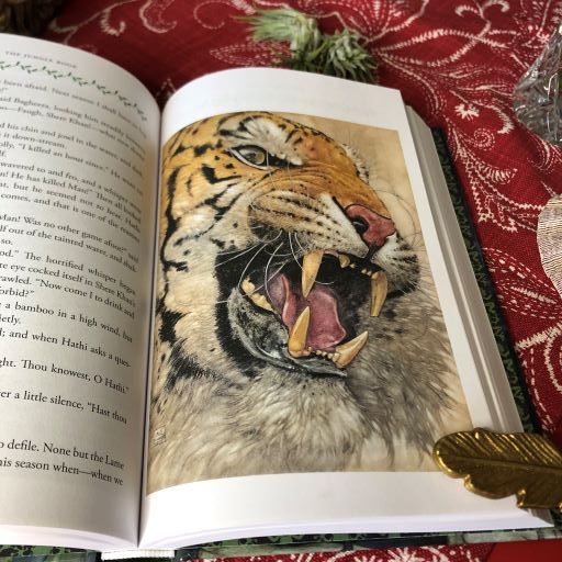 Angel Dominguez - WaterBearReads